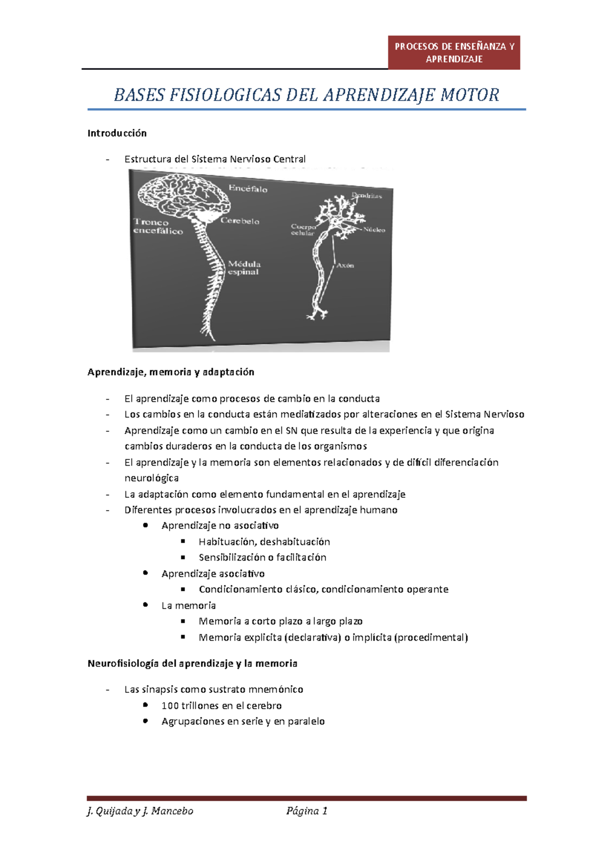 Tema 2. Bases fisiologicas del aprendizaje motor - PROCESOS DE ENSEÑANZA Y APRENDIZAJE BASES ...