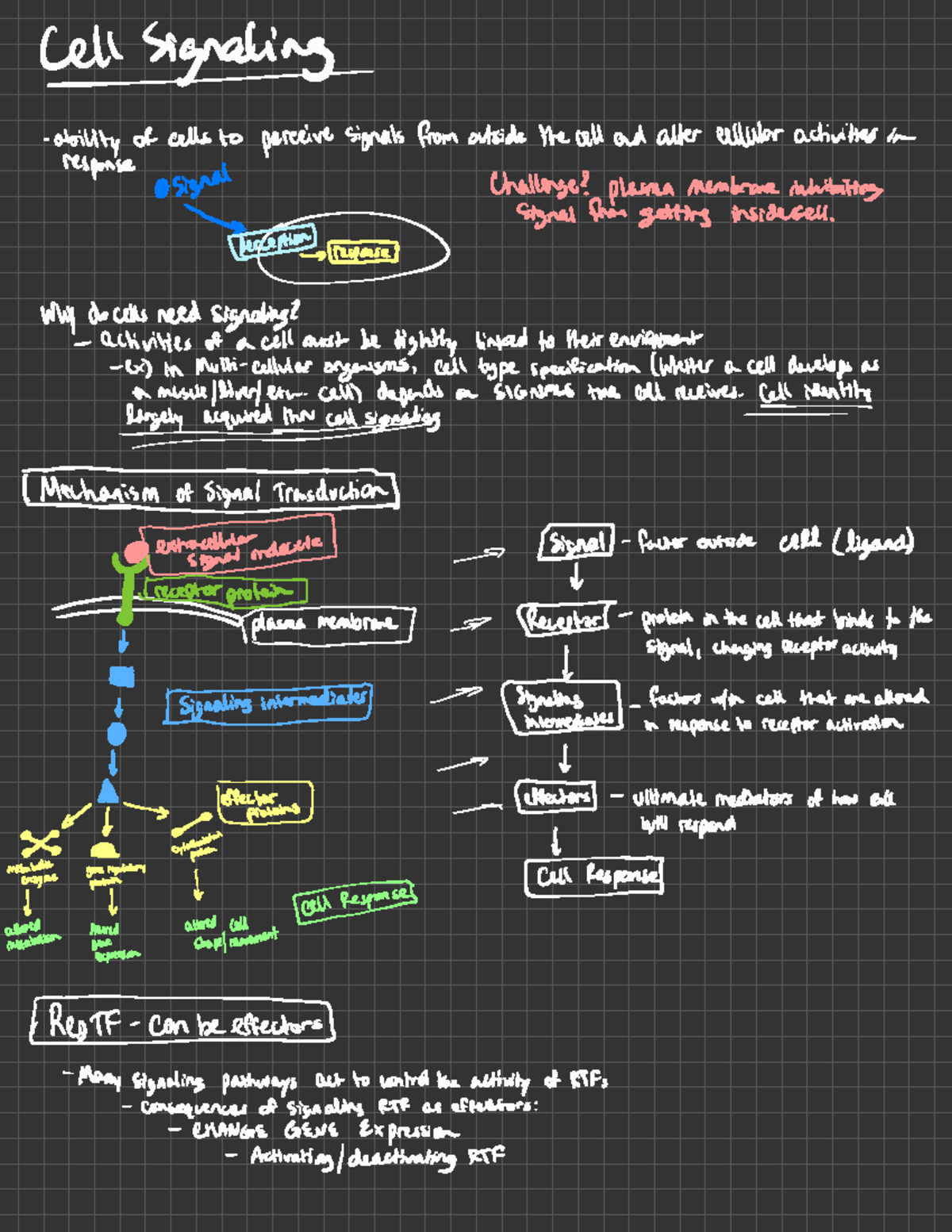 Lecture 20 Cell Signaling - Biology 172 - U-M - Studocu