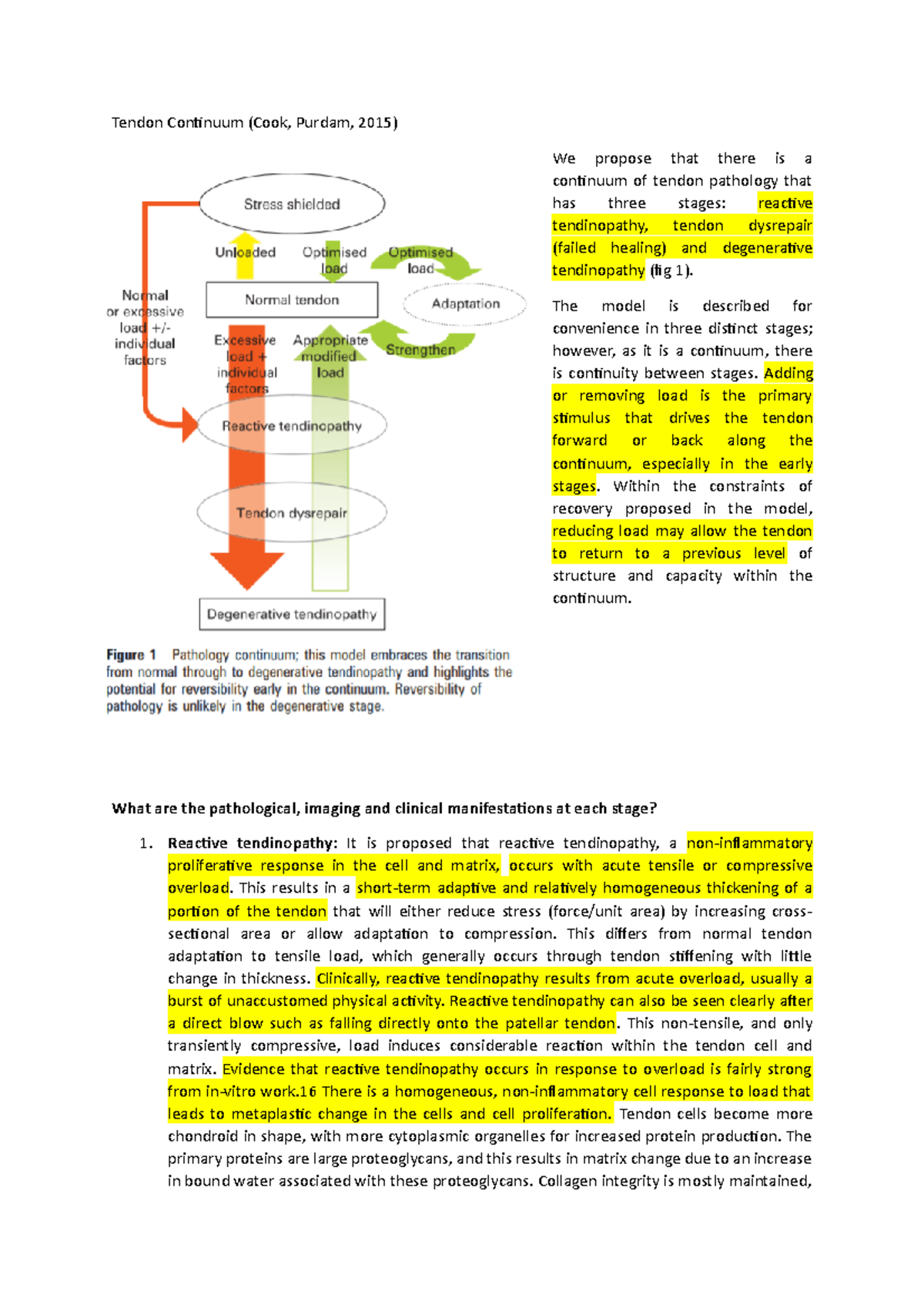 Tendon Continuum - The model is described for convenience in three ...