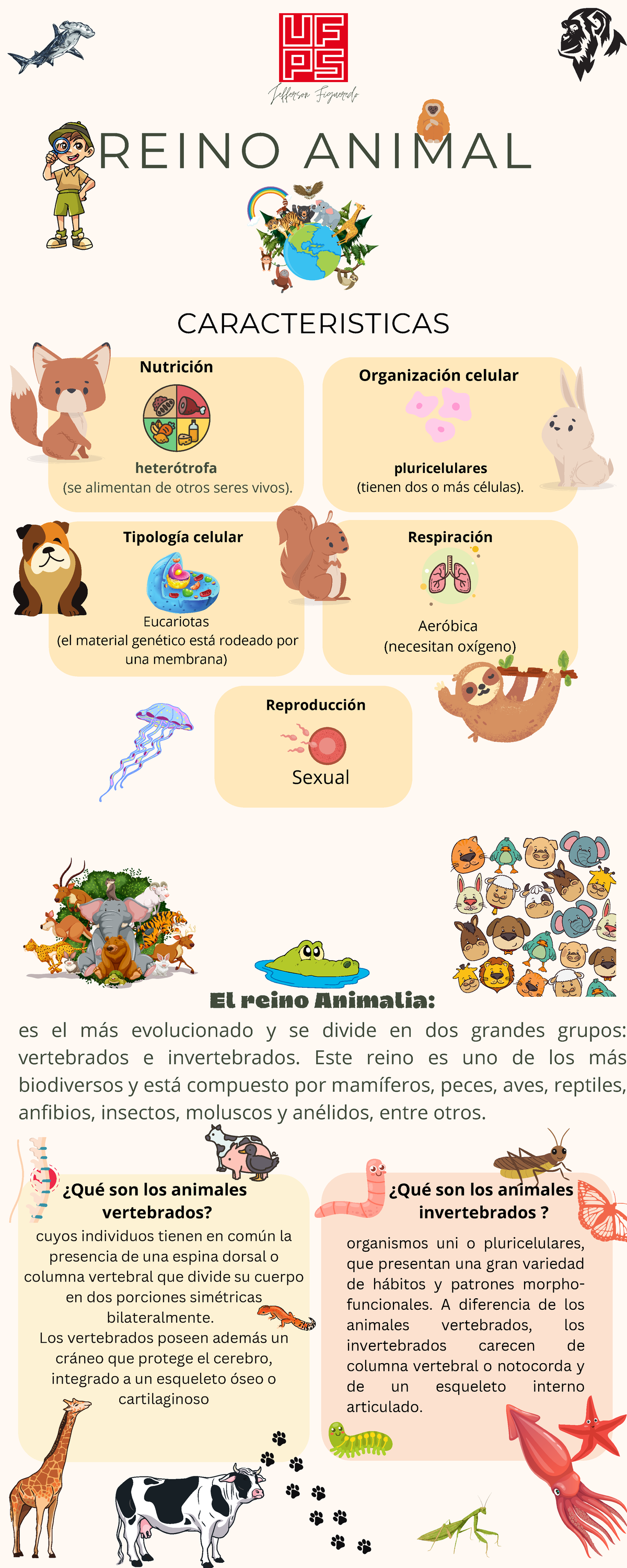 Reino animal - cuyos individuos tienen en común la presencia de una ...