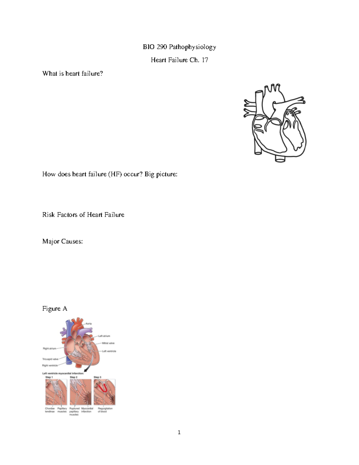 Heart Failure worksheet student copy - NUR390 - BIO 290 Pathophysiology ...