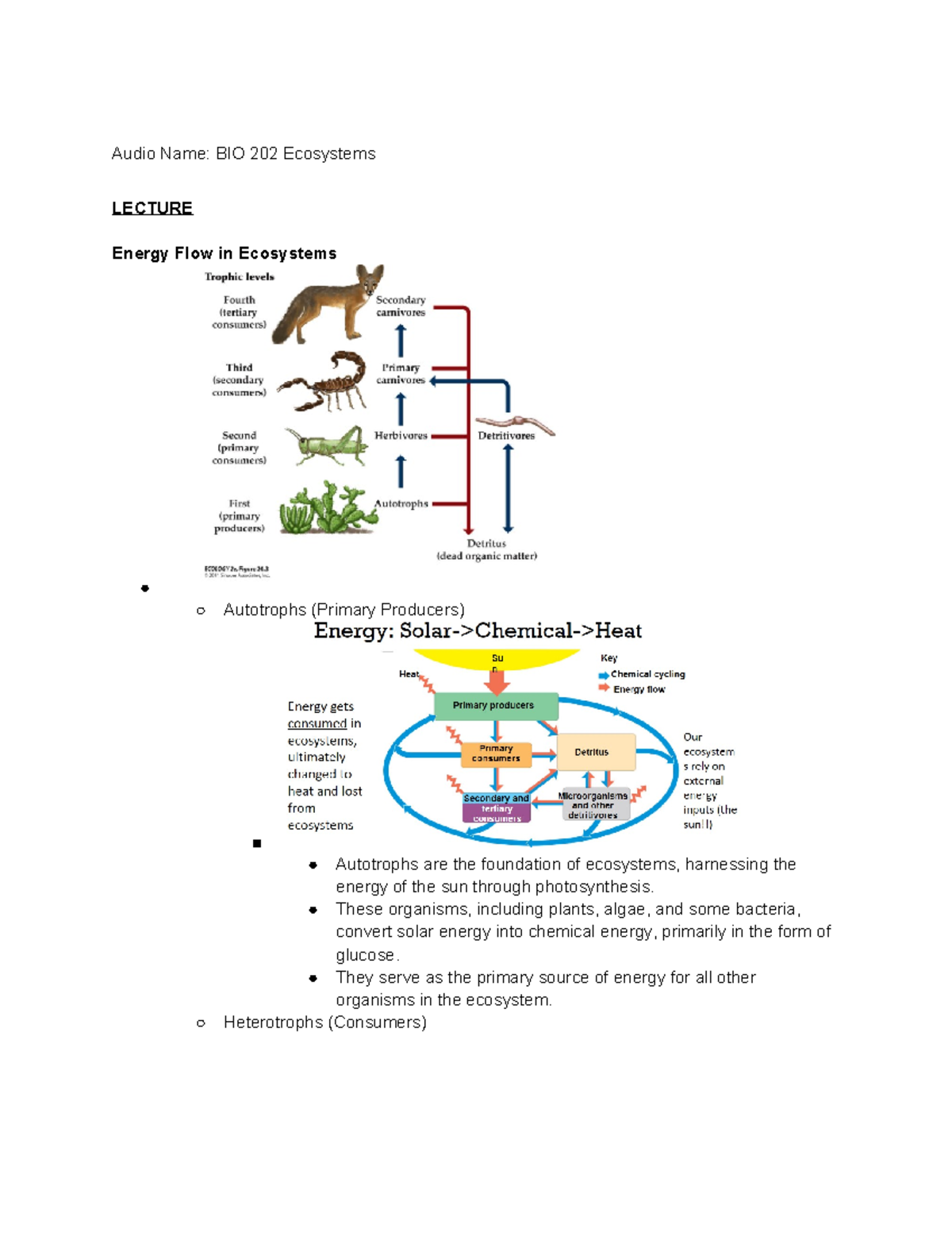 BIO 202 Ecosystems Notes - Audio Name: BIO 202 Ecosystems LECTURE ...