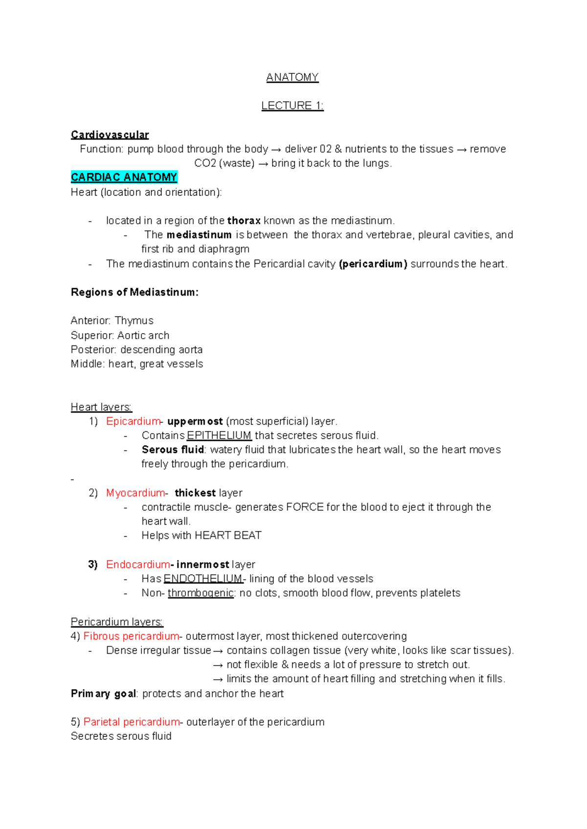 Anatomy semester 2 notes - ANATOMY LECTURE 1: Cardiovascular Function ...
