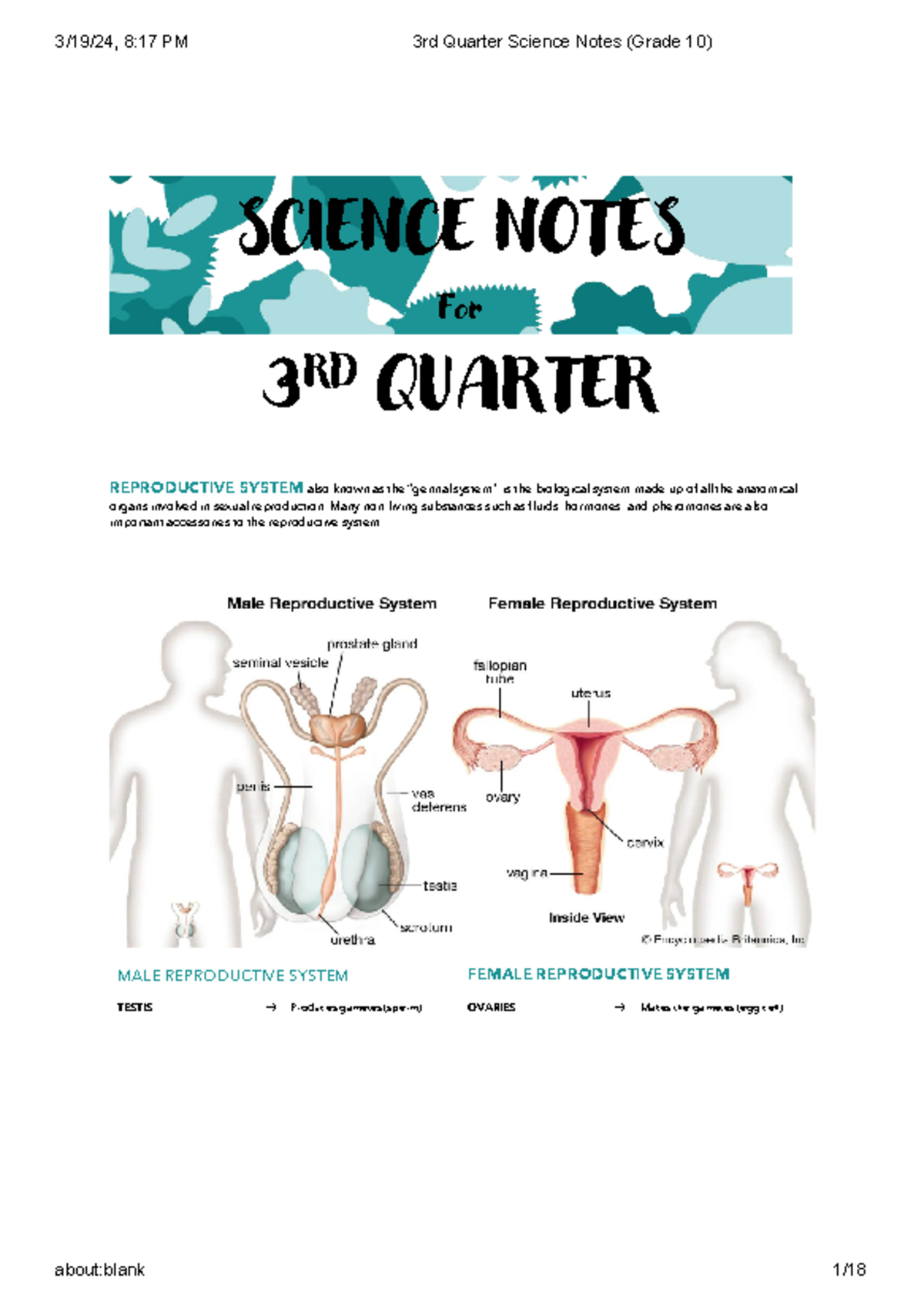 3rd Quarter Science Notes (Grade 10) - SCIENCE NOTES For 3 RD QUARTER ...