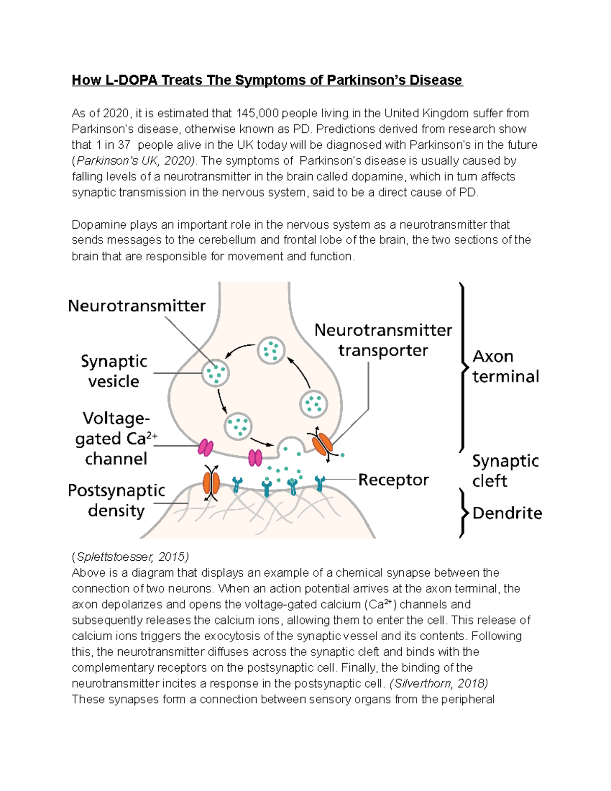 How L-DOPA Treats The Symptoms of Parkinson's Disease - Predictions ...