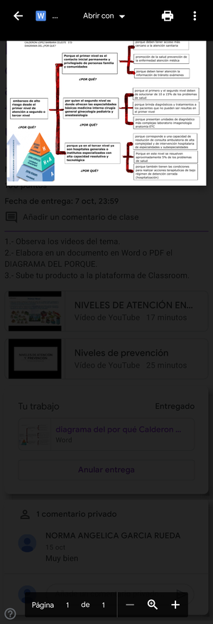 Metriset - procedimientos en la terapia de infusion - PREPARACIÓN DE ...