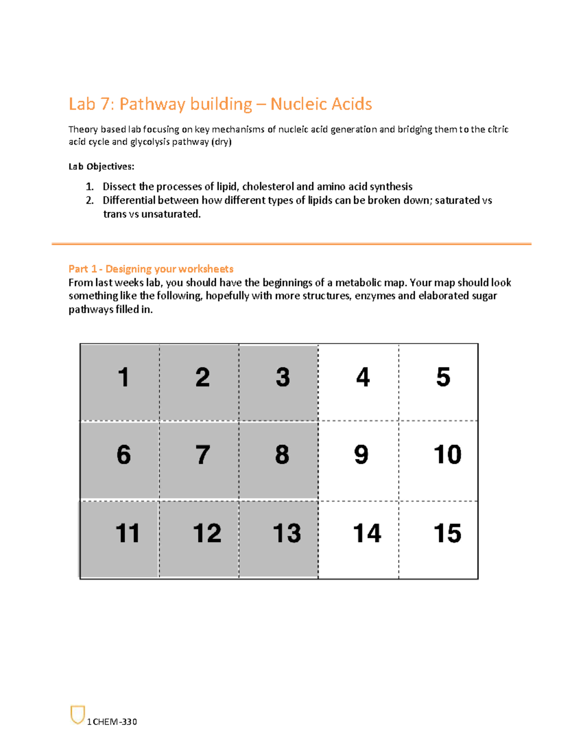 CHEM 330 Lab 7 1 - CHEM 330 Lab 7 1 - Lab 7: Pathway building – Nucleic ...