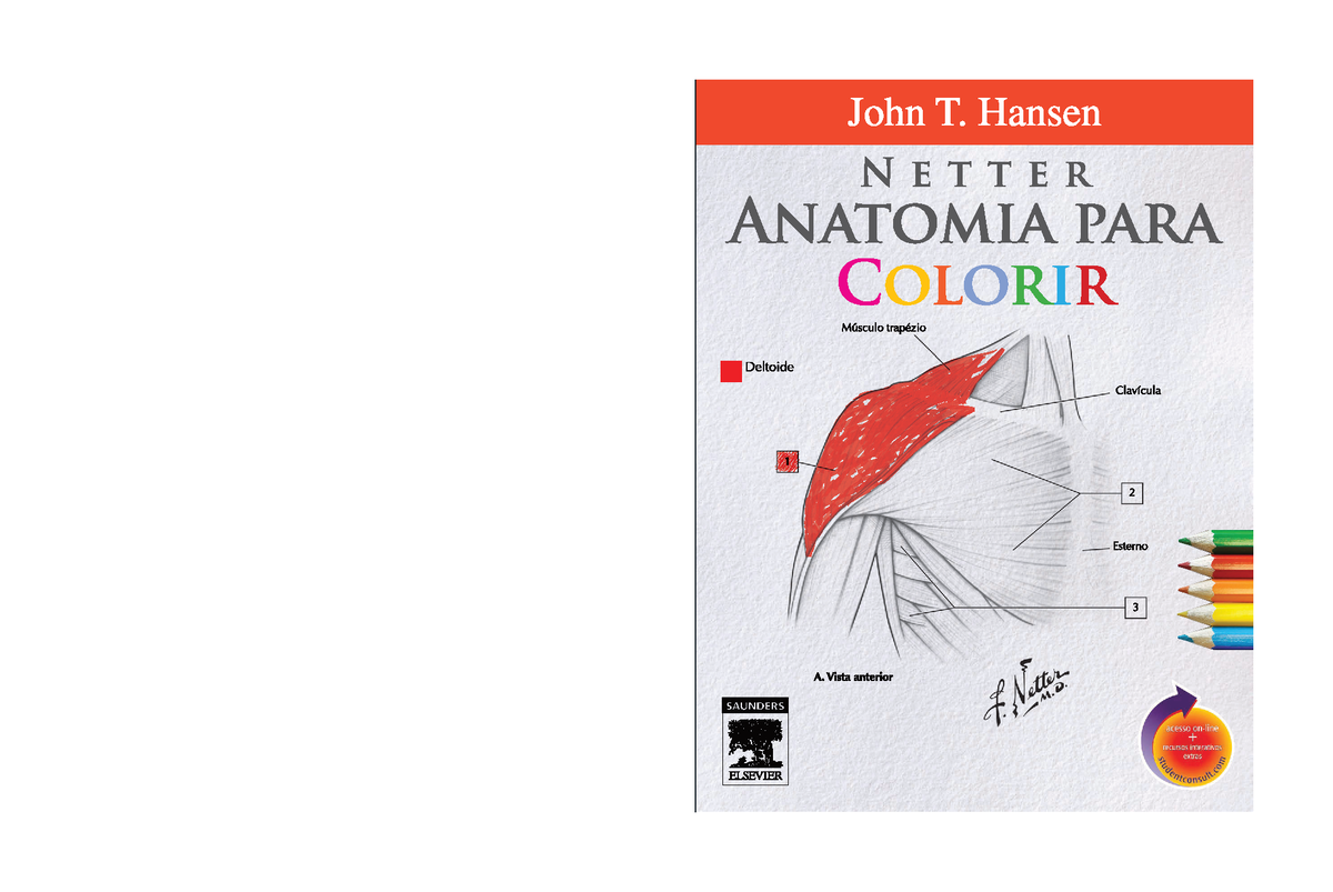 2010 e sample Netter Atlas de Anatomia para Colorir - Netter Anatomia para Colorir Do original ...