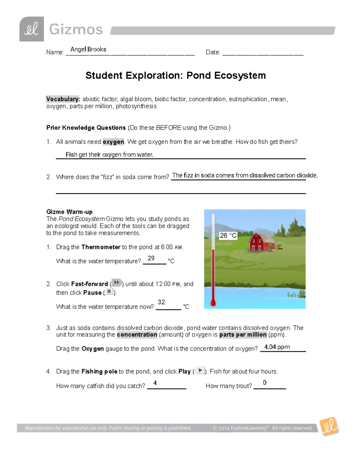 Pond Ecosystem-Student Exploration worksheet - Name