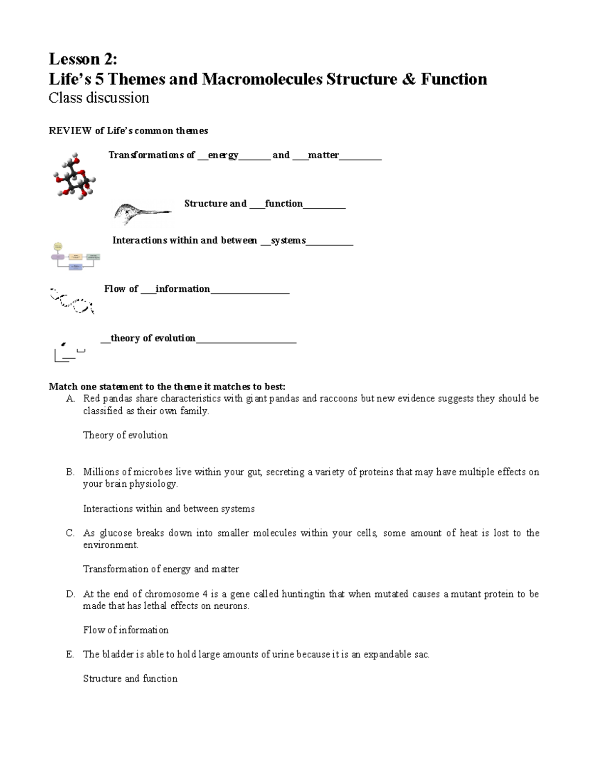 Lesson 2 Class Outline Structure and Function of Macromolecules ...