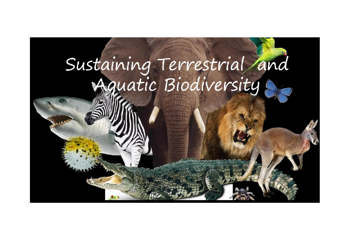Sustaining- Biodiversity- Notes - Sustaining Terrestrial and Aquatic ...