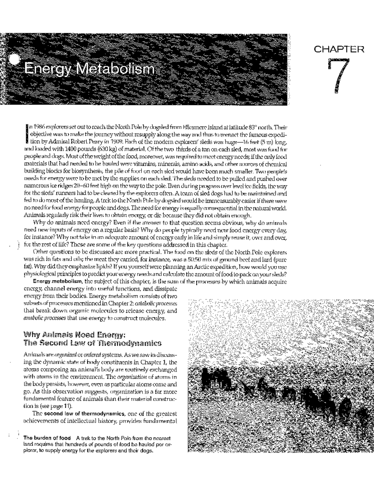 Animal phys ch - chapter 7, 8 - BIOL 3030 - Studocu