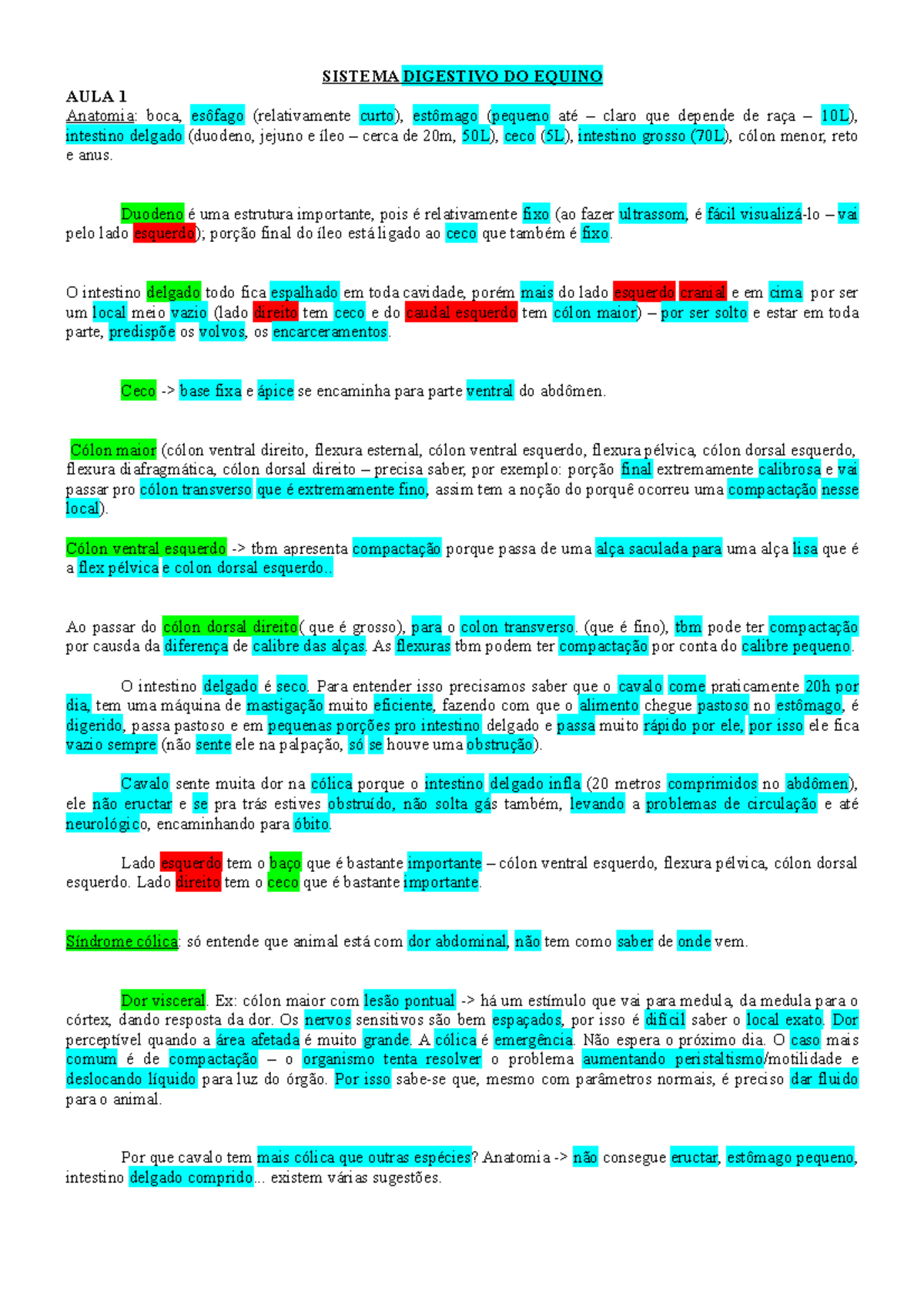 Digestório de equino - Aula completada - SISTEMA DIGESTIVO DO EQUINO ...