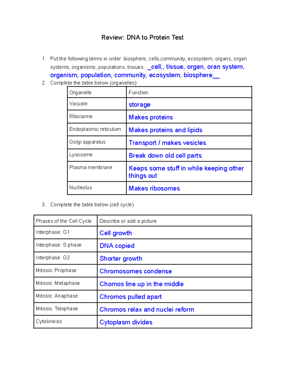 Answers to Review DNA to Protein Test - Review: DNA to Protein Test 1 ...