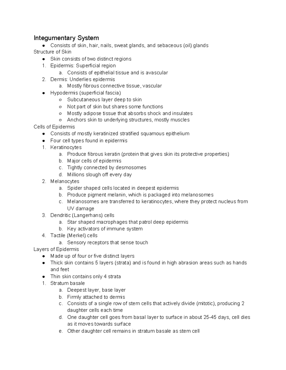 Anatomy Notes Day 14 - Lisa Nelson - Integumentary System Consists of ...