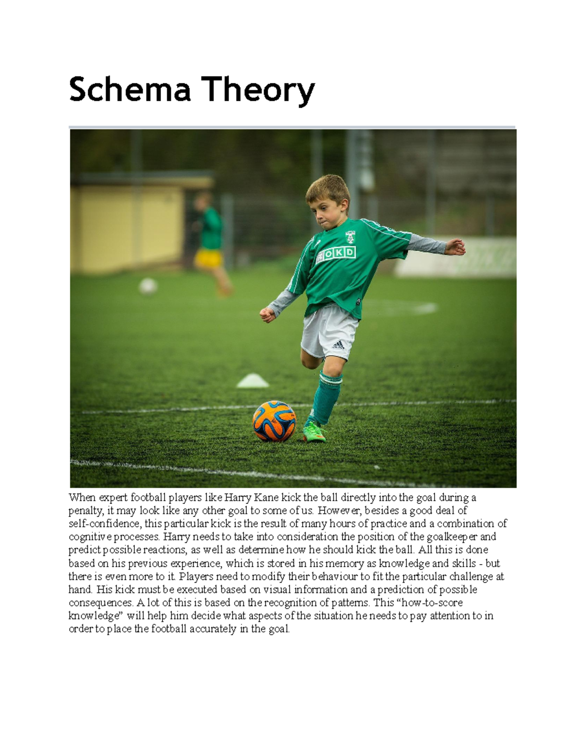 Schema theory - Student Notes - Schema Theory When expert football ...