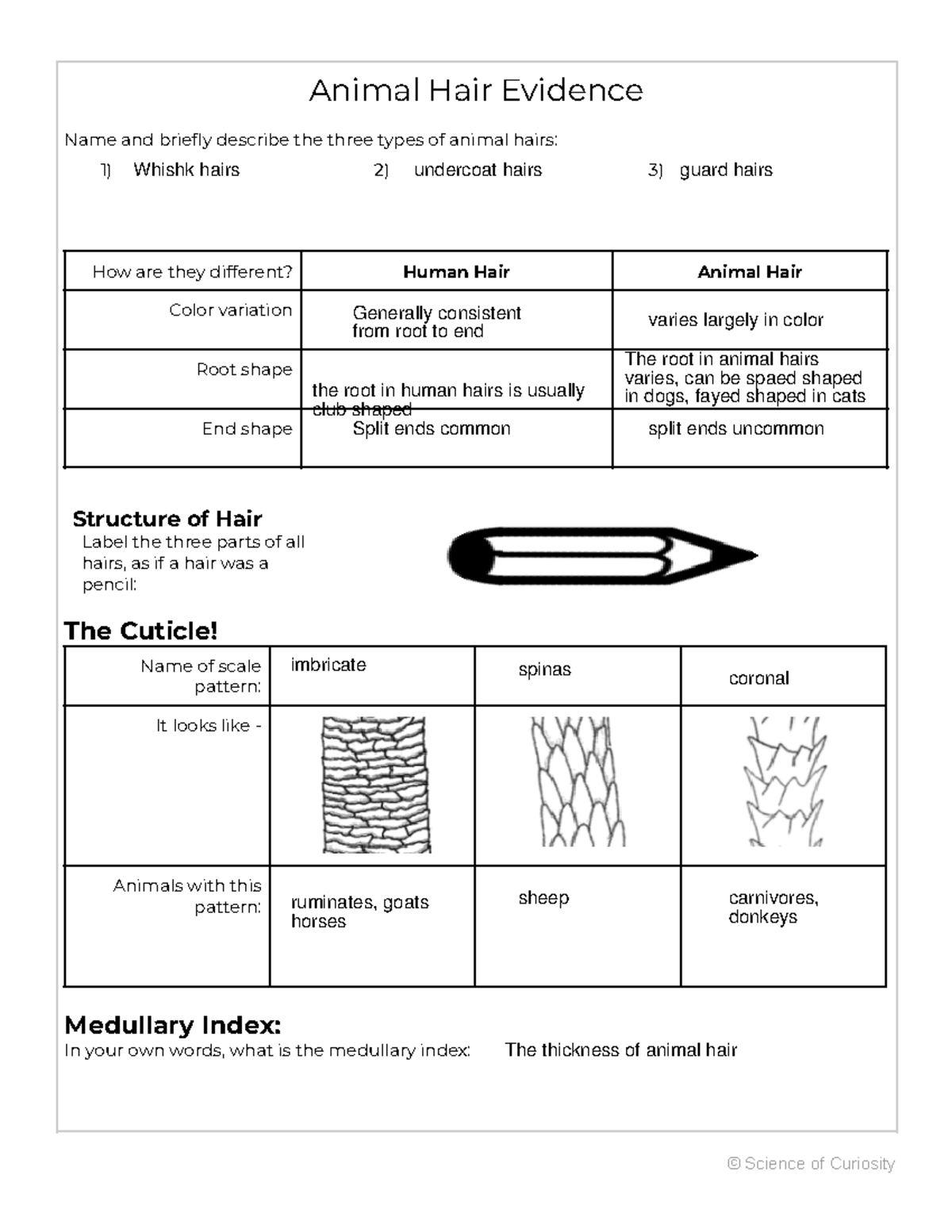 Animal Hair Notes (1) - SKIII - Animal Hair Evidence Name and briefly ...