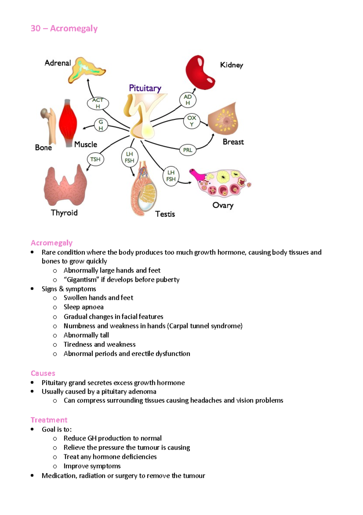 Anatomy and Physiology of Acromegaly - 30 – Acromegaly Acromegaly Rare ...