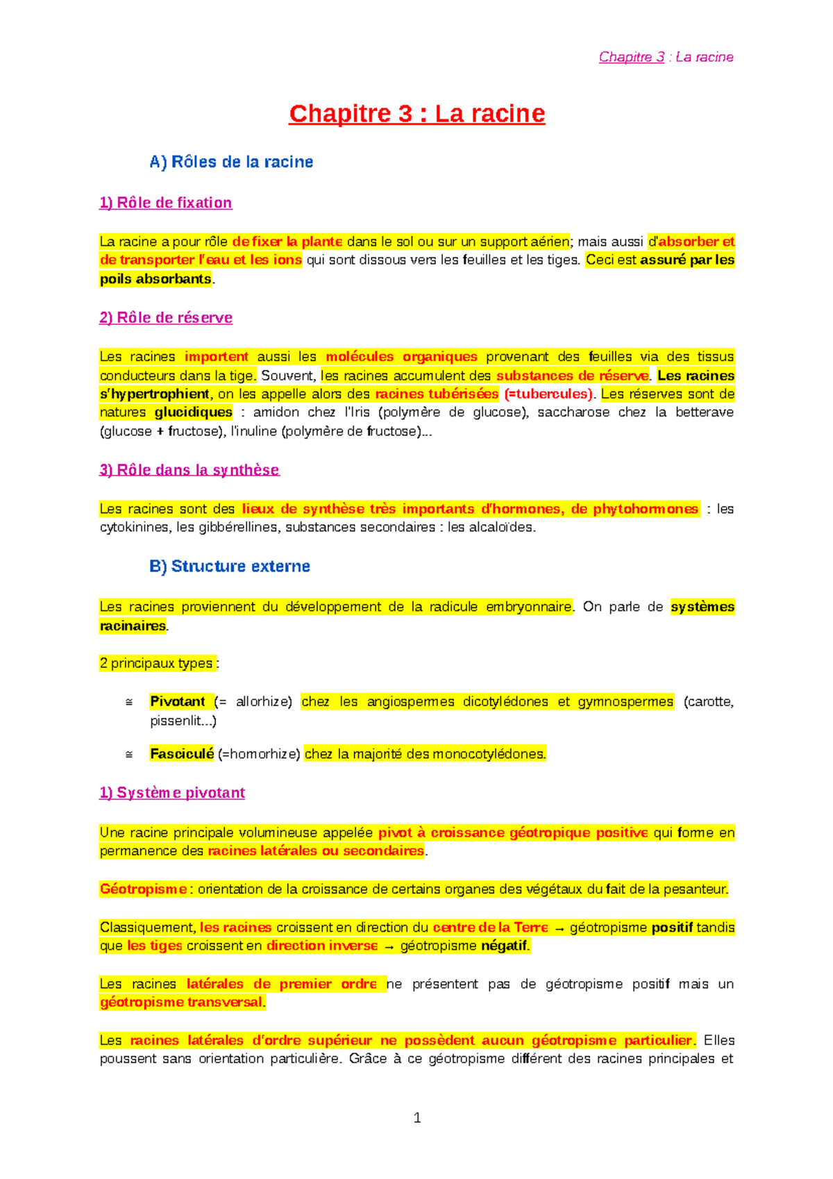 Chapitre 3 La racine - vege - Chapitre 3 : La racine A) Rôles de la ...