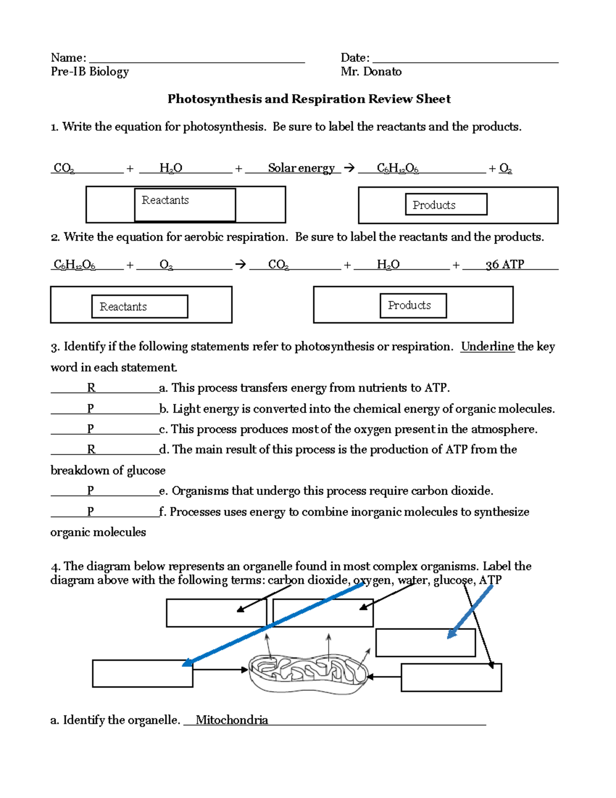 Photosynthesis and respiration review sheet key - Name: Date: Pre-IB ...