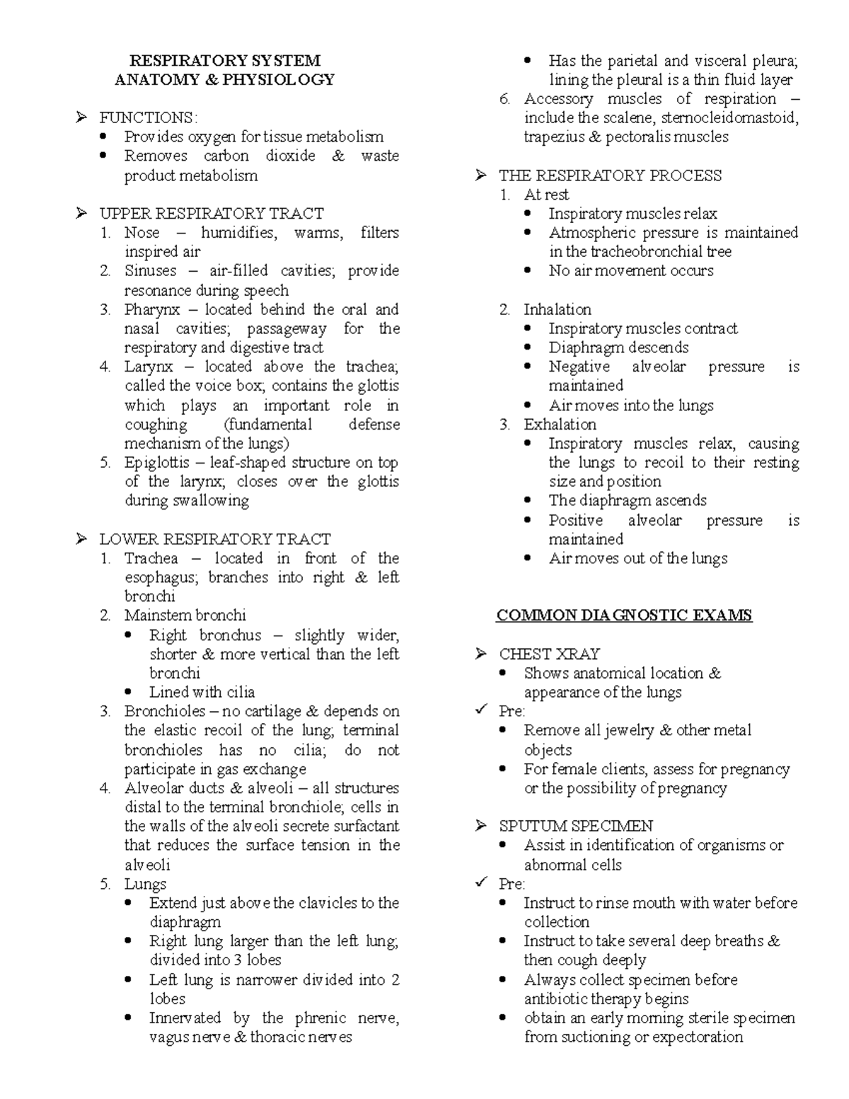 respiratory-Lecture anatomy - RESPIRATORY SYSTEM ANATOMY & PHYSIOLOGY ...