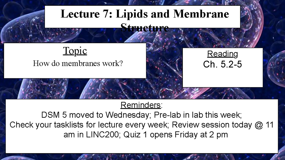 BI221 Lecture-7 -membranes-transport skeleton - ####### Lecture 7: Lipids and Membrane ...
