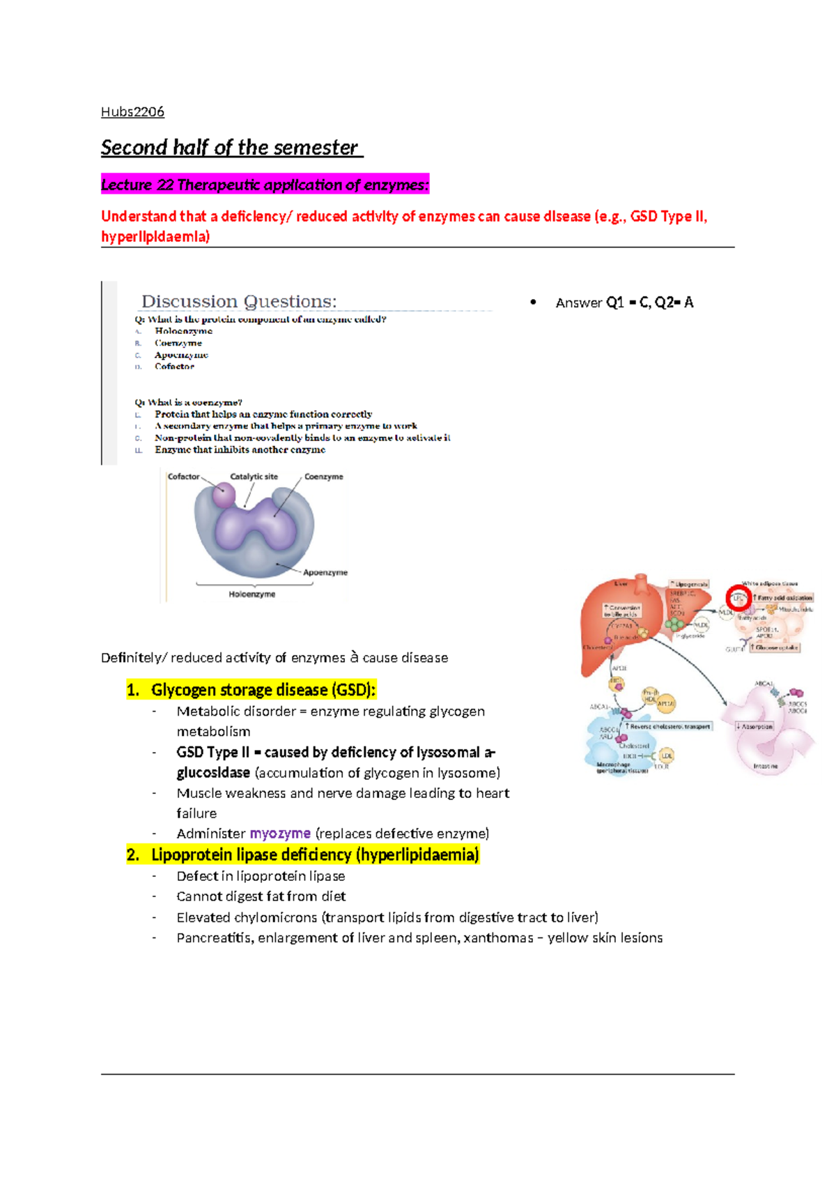 Hubs2206 final exam - practice exams resources - Hubs Second half of ...