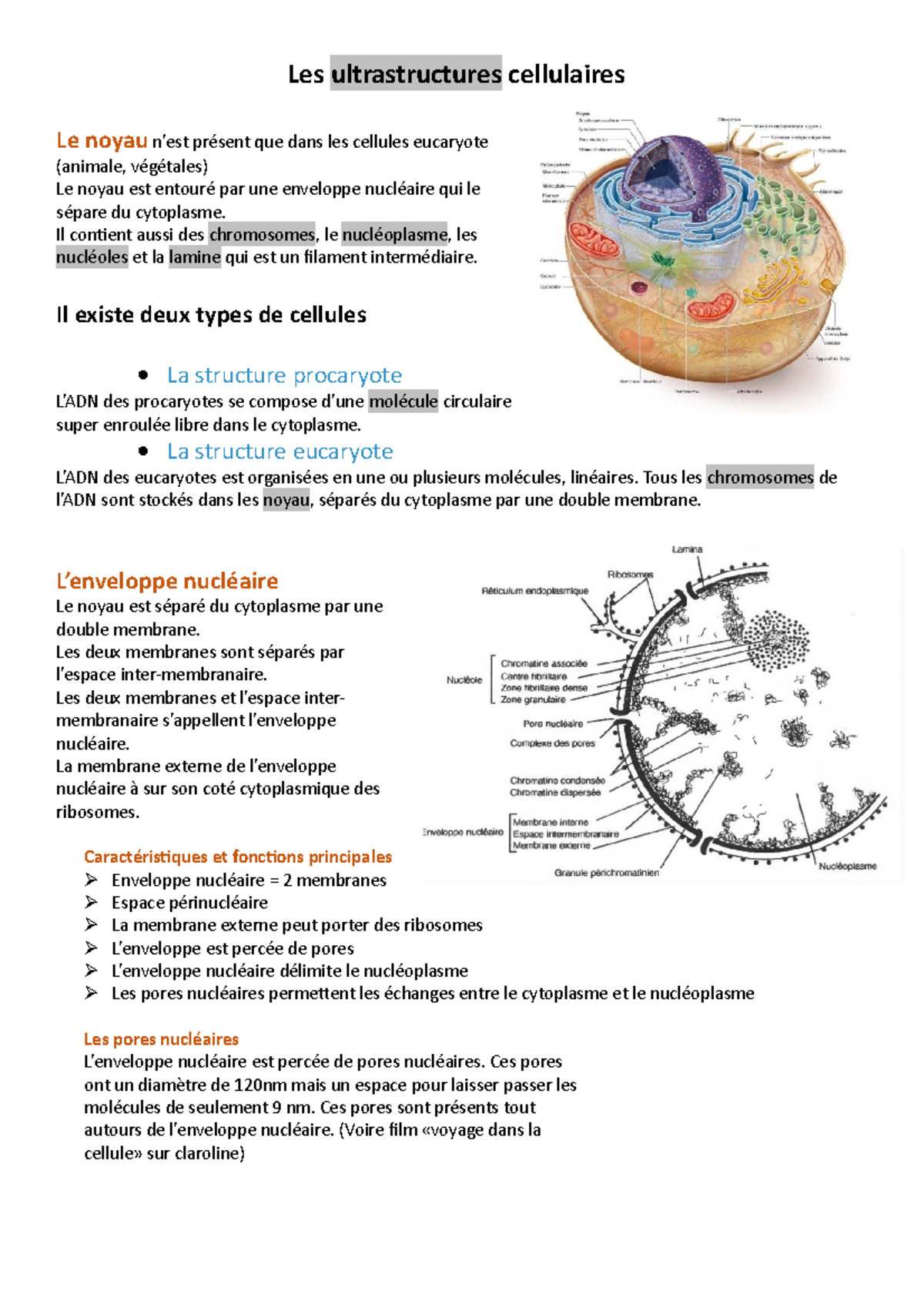 ultrastructure cellulaire intracellulaire et extracellulaire - Biologie ...