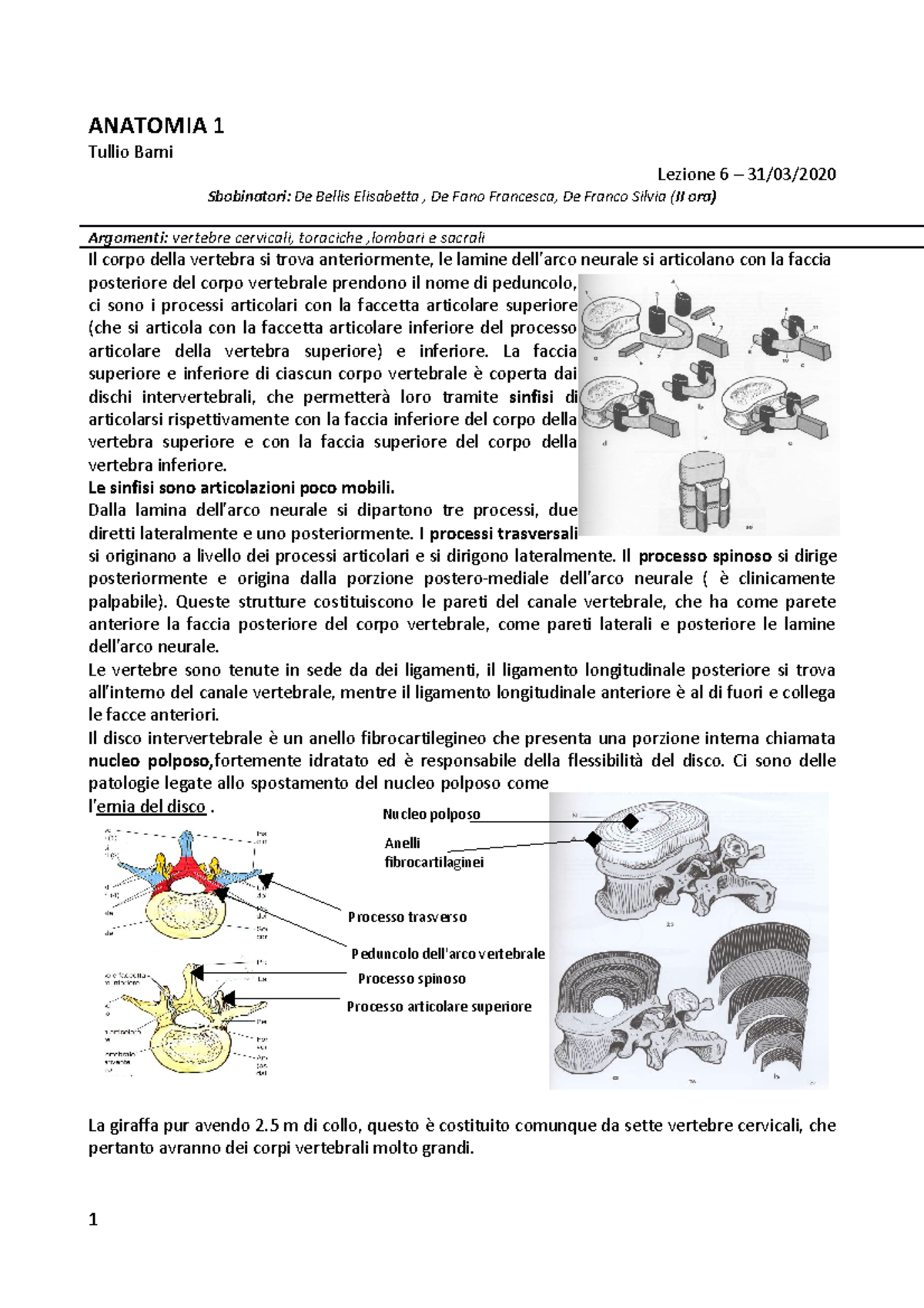 Lezione 6 - Anatomia - Barni - Warning: TT: undefined function: 32 Warning: TT: undefined ...