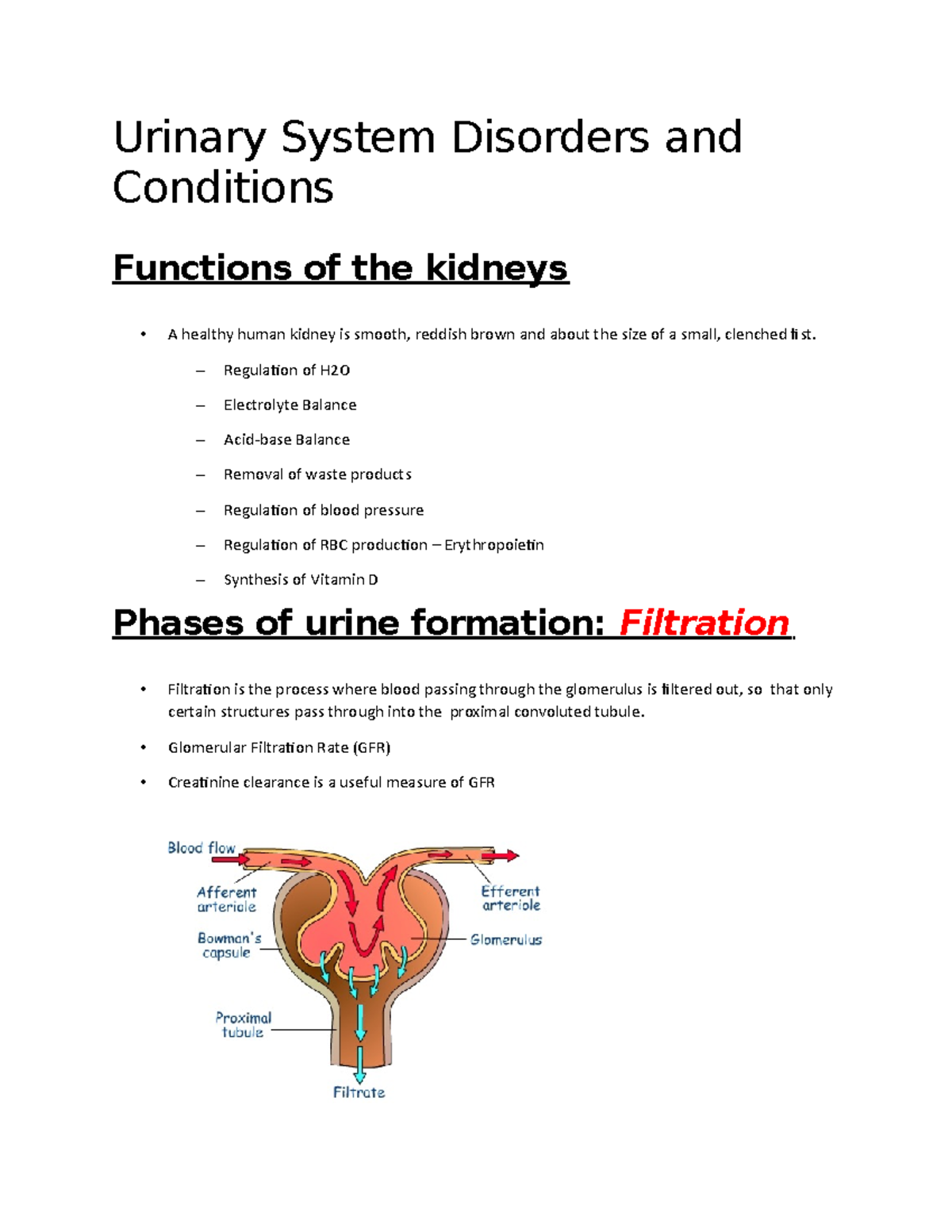 Urinary System Disorders and Conditions - Urinary System Disorders and ...