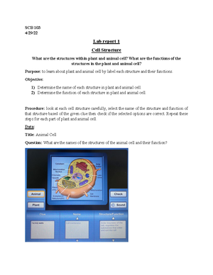 What standards interface science to science - What standards interface ...