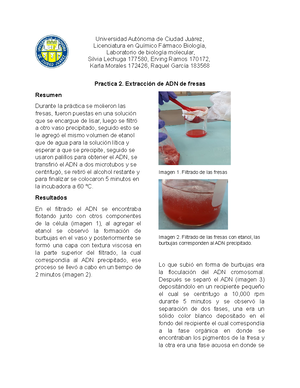 Practica 3 y 4-Extraccion de ADN - INSTITUTO DE CIENCIAS BIOMÉDICAS LABORATORIO DE BIOLOGÍA ...
