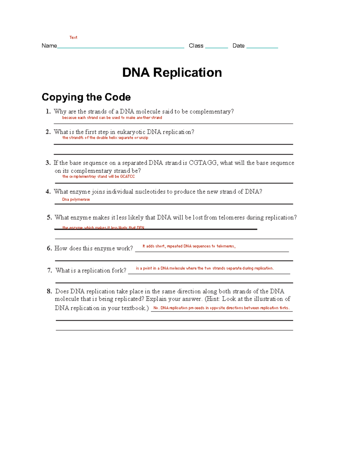 Microsoft Word - DNA Replication Worksheet.doc copy - Name Class Date ...