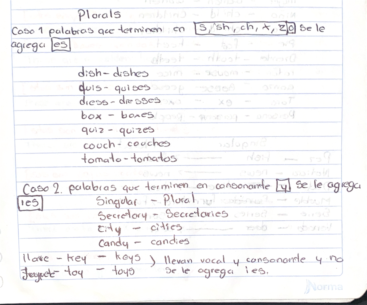 Regla De Pluralesingles - Plorals Caso 1 palabras ace terminen en ch, x ...