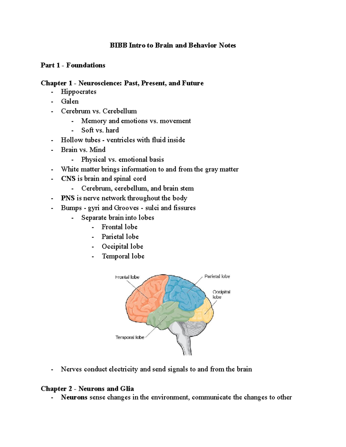 BIBB Midterm 1 Study Guide - BIBB Intro to Brain and Behavior Notes ...