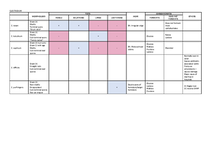 Parasites table summary 1 - Biology - Studocu