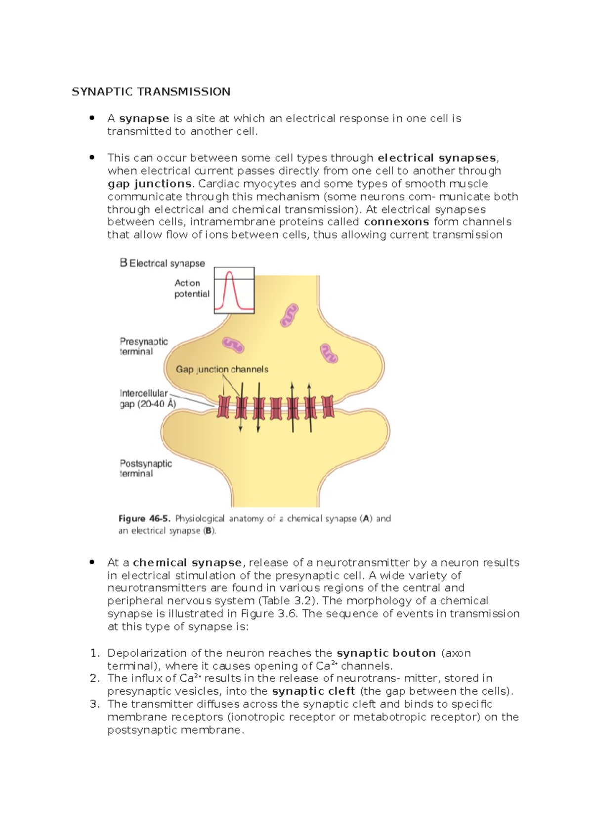 Synaptic Transmission - SYNAPTIC TRANSMISSION A synapse is a site at ...