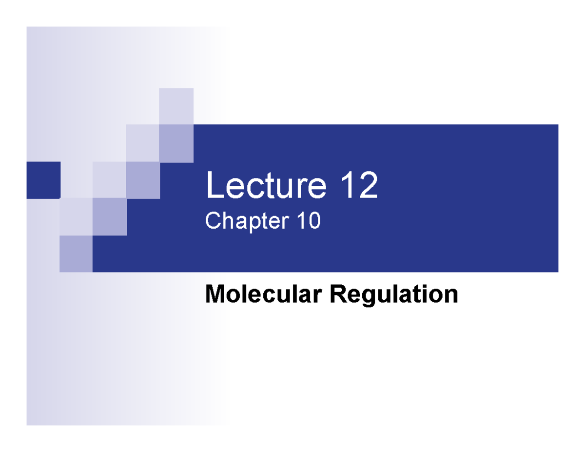 lecture 12 bio121.pdf - Lecture 12 Chapter 10 Molecular Regulation ...