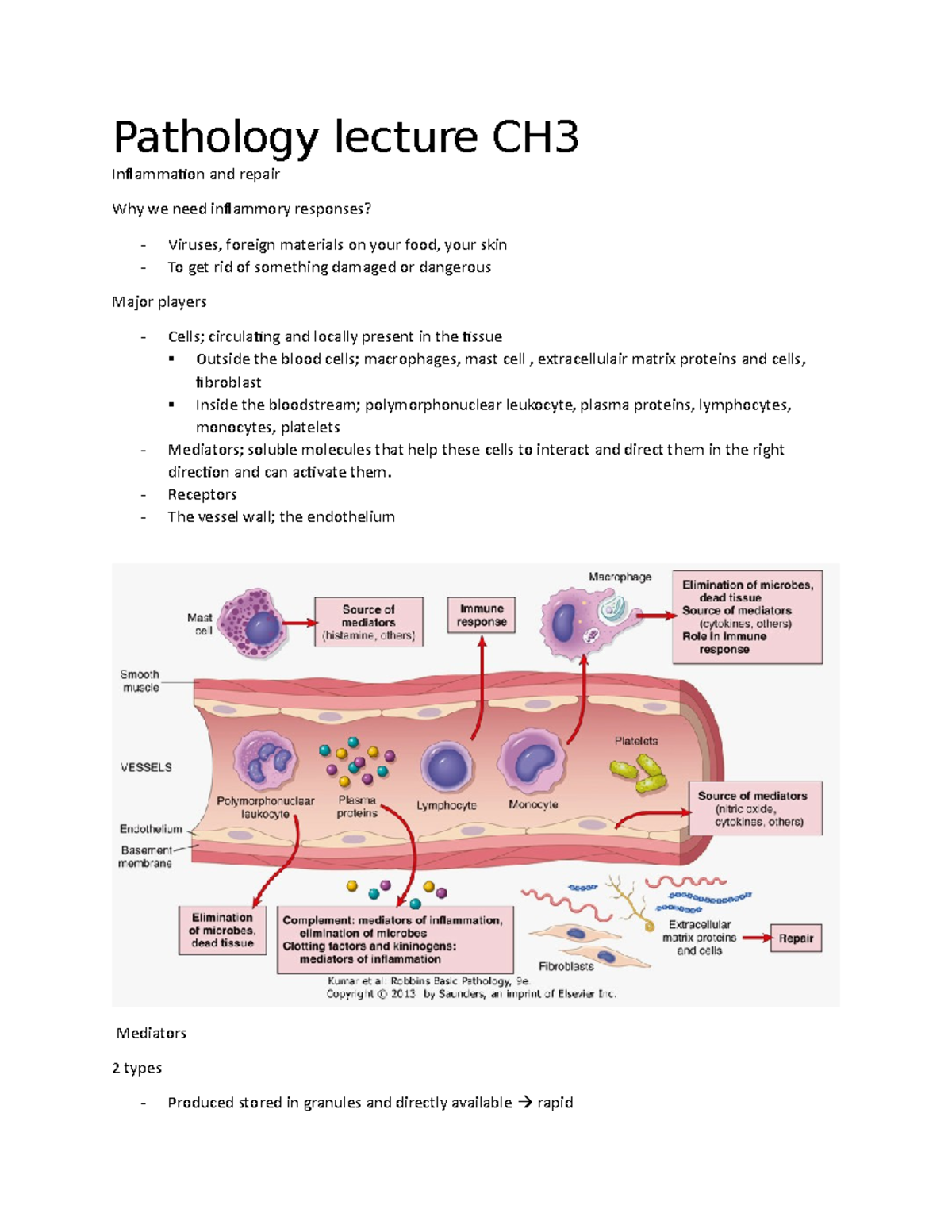 Pathology lecture CH3 - Pathology lecture CH Inflammation and repair ...