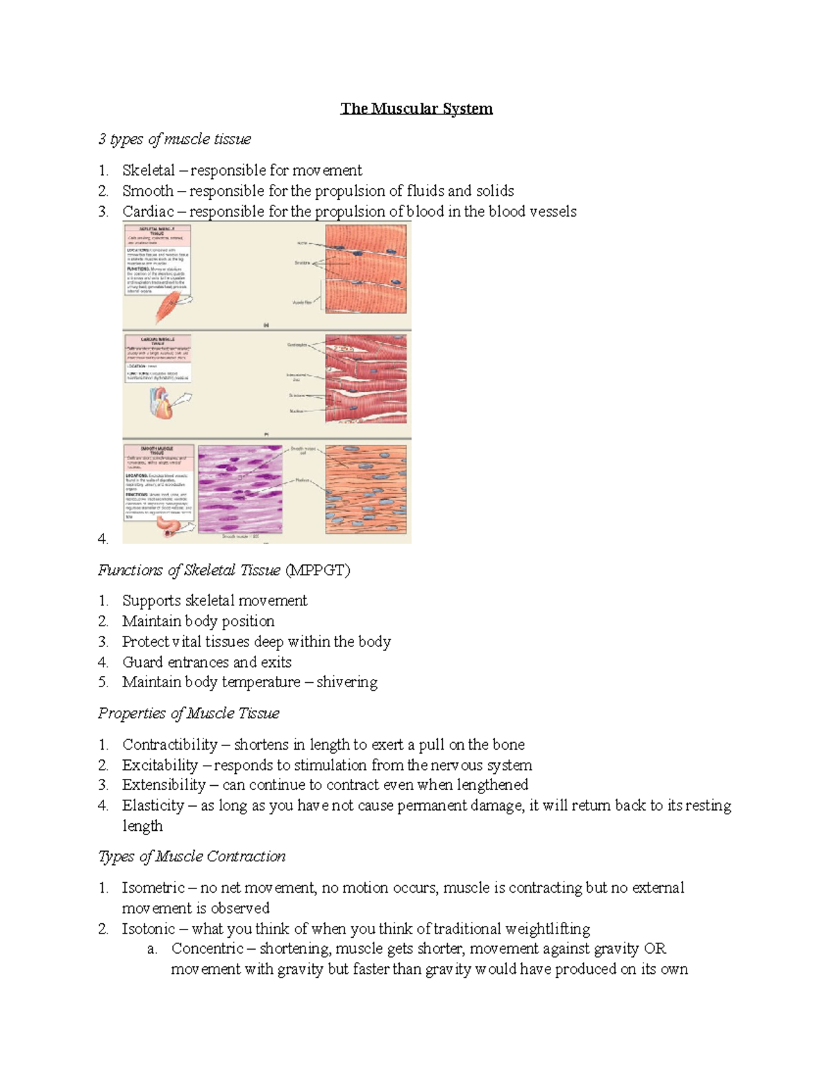 Chapter 7 - The Muscular System - The Muscular System 3 types of muscle ...