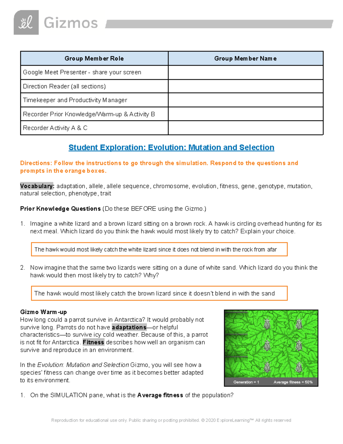 Evolution Mutation Selection SE - Revised (Gizmo) - Group Member Role ...