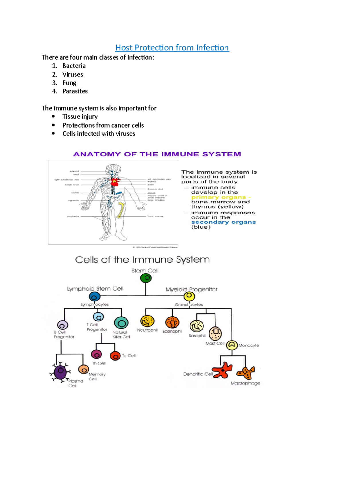1 Host Protection from Infection - Host Protection from Infection There ...