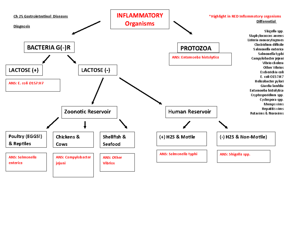 BIO 226 Ch 25 GI Diff Diagnosis worksheet Spr2020 - Ch 25 ...