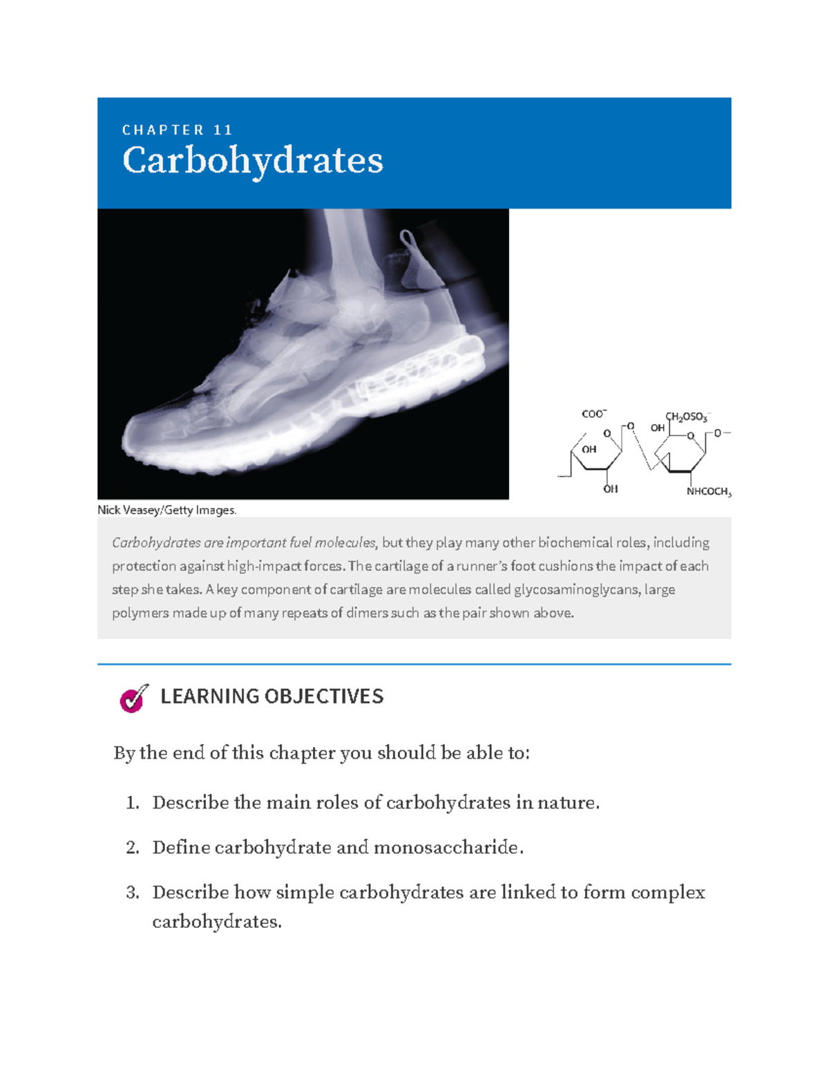 Biochem exam 2 - textbook chapters for exam 2 - Carbohydrates are ...