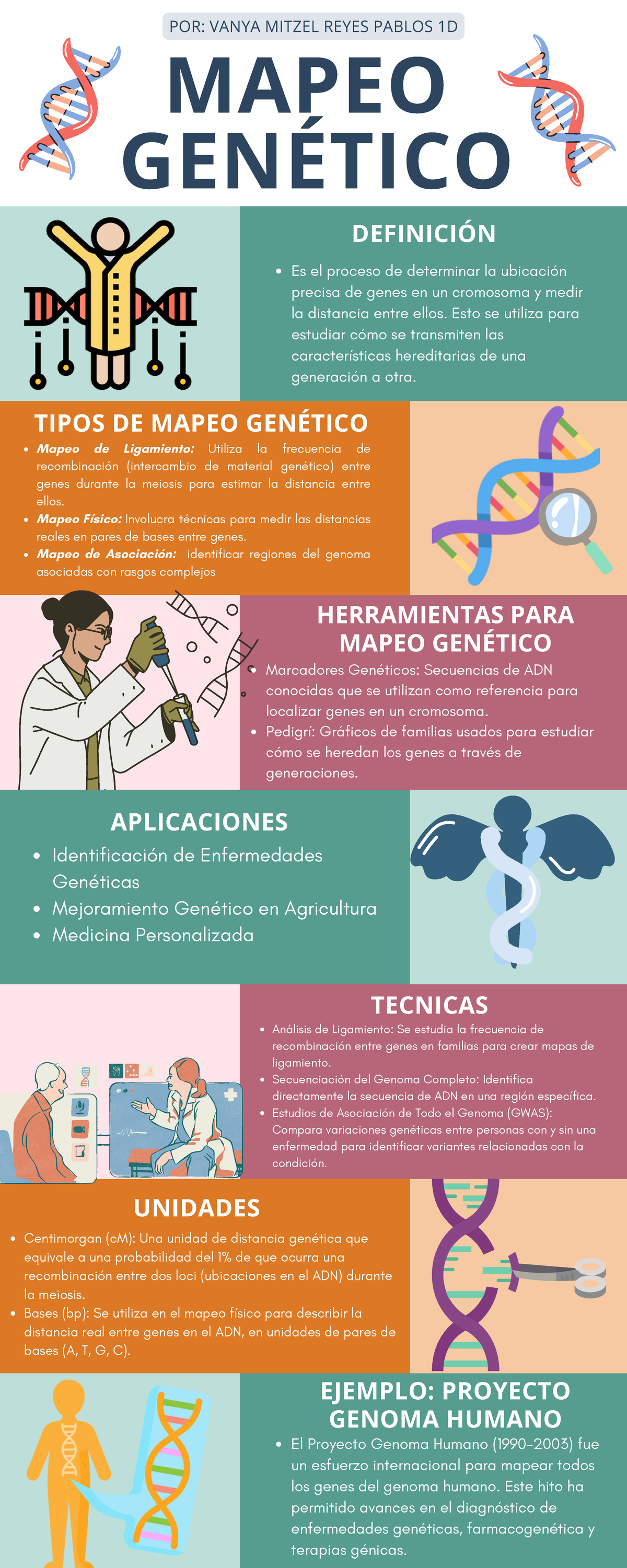 Mapeo Genetico, Analisis Ligamentos y Microsatelites - DEFINICIÓN Es el ...