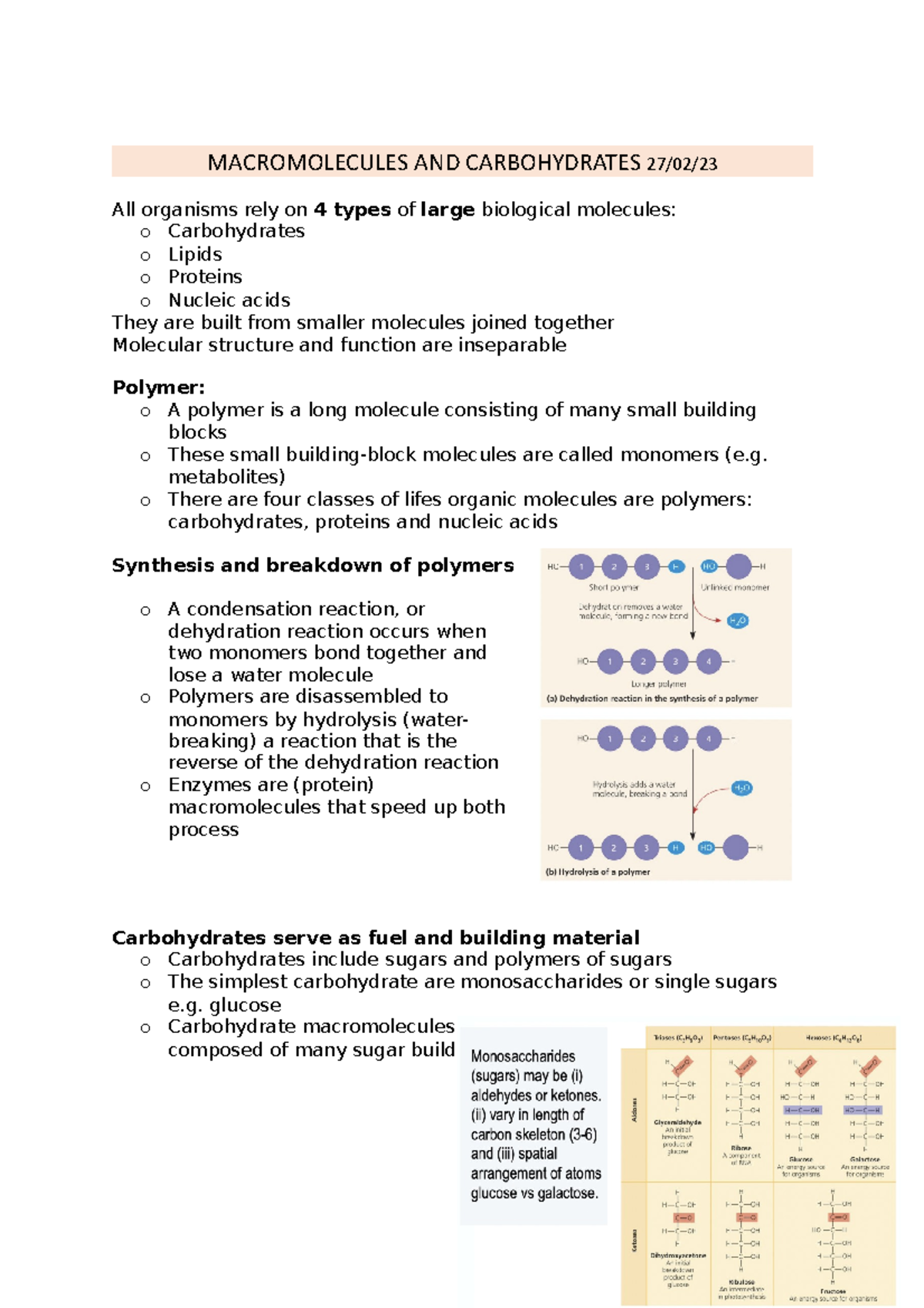 LEC 1 MOD 2 Macromolecules - MACROMOLECULES AND CARBOHYDRATES 27/02 ...