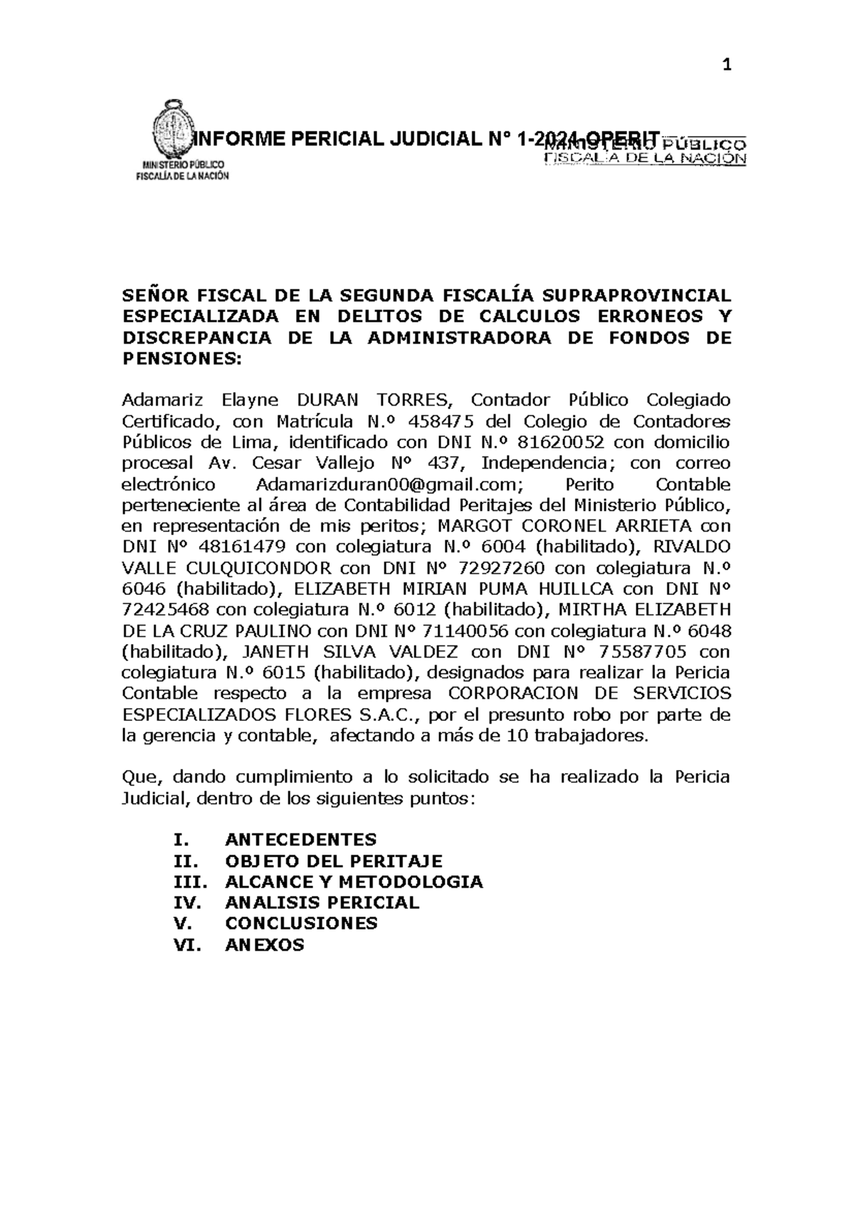 Peritaje Judicial Final 2024 - INFORME PERICIAL JUDICIAL N° 1-2024 ...