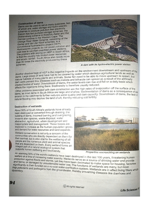 Grade 11 Short Stories Guide - 1 | P a g e 1. GEMINI by Ahmed Essop ...