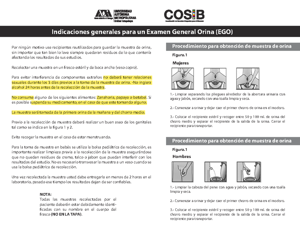 Ego - Como recolectar la muestra de orina en un paciente - Por ningún ...