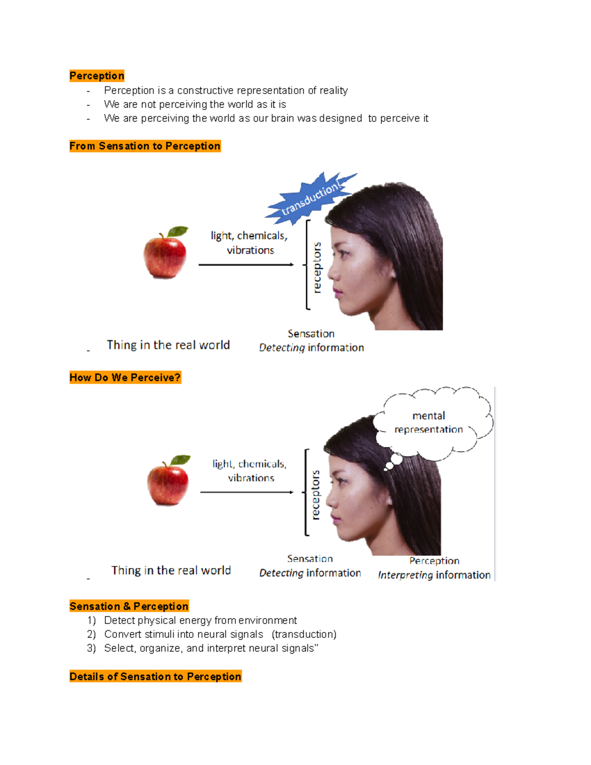 Lec. 10 Sensation & Perception - Perception Perception is a ...